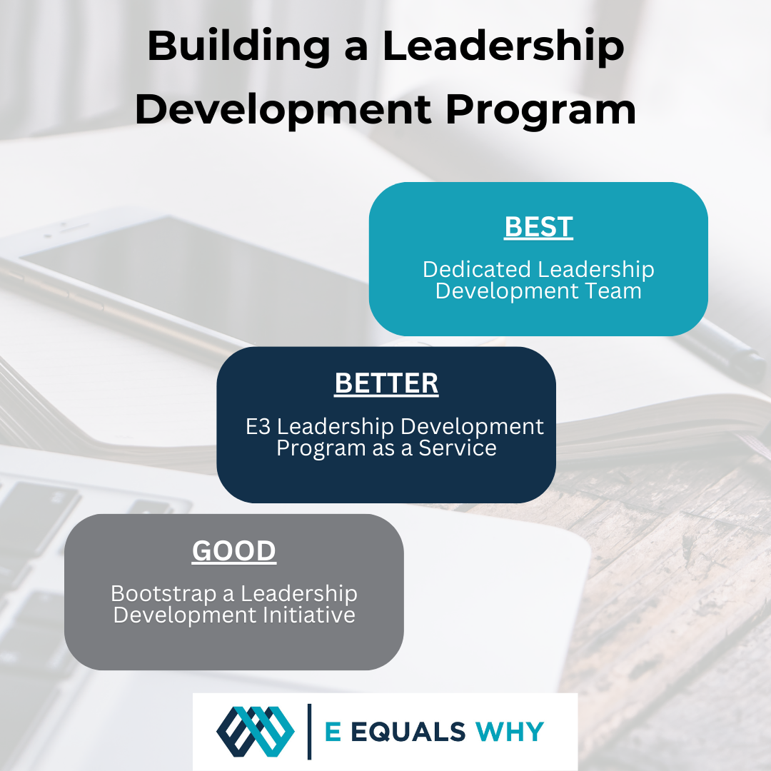 Establishing a Leadership Development Program | Build, Enhance, Succeed ...