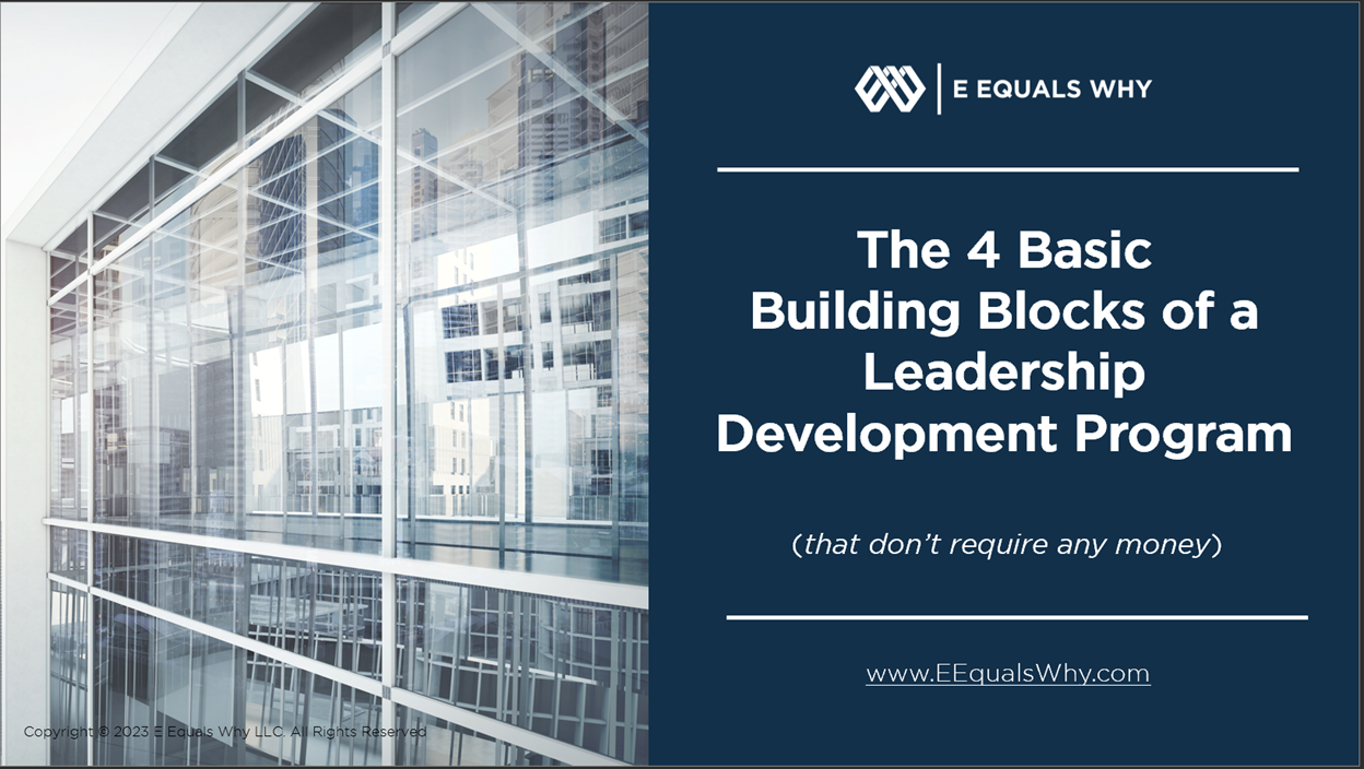 eGuide: 4 Basic Building Blocks of a Leadership Development Program